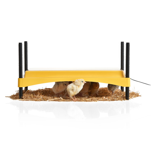 Brinsea EcoGlow Safety 1200 Chick Brooder - NESTZY EGGS Co.